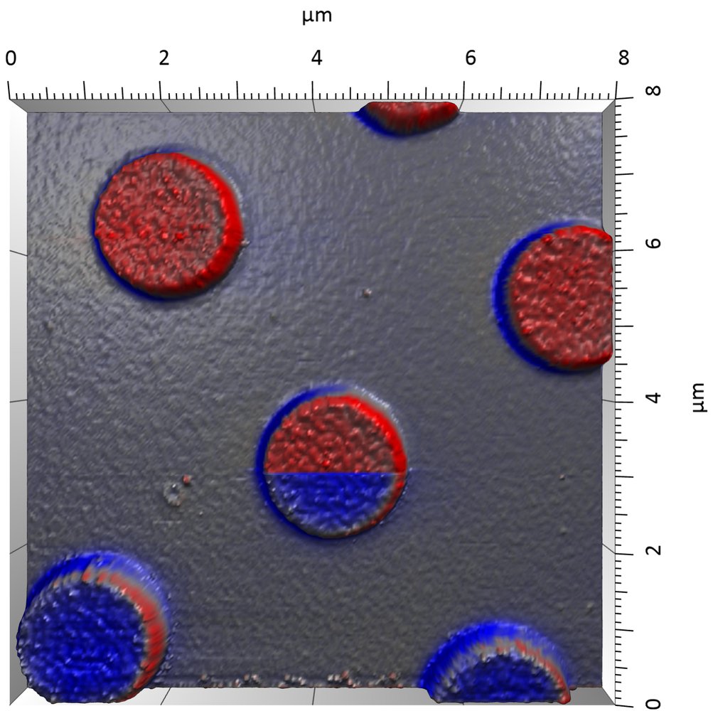 Electrostatic force microscopy (EFM)